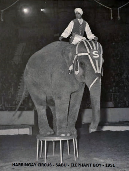 Harringay Arena and Stadium